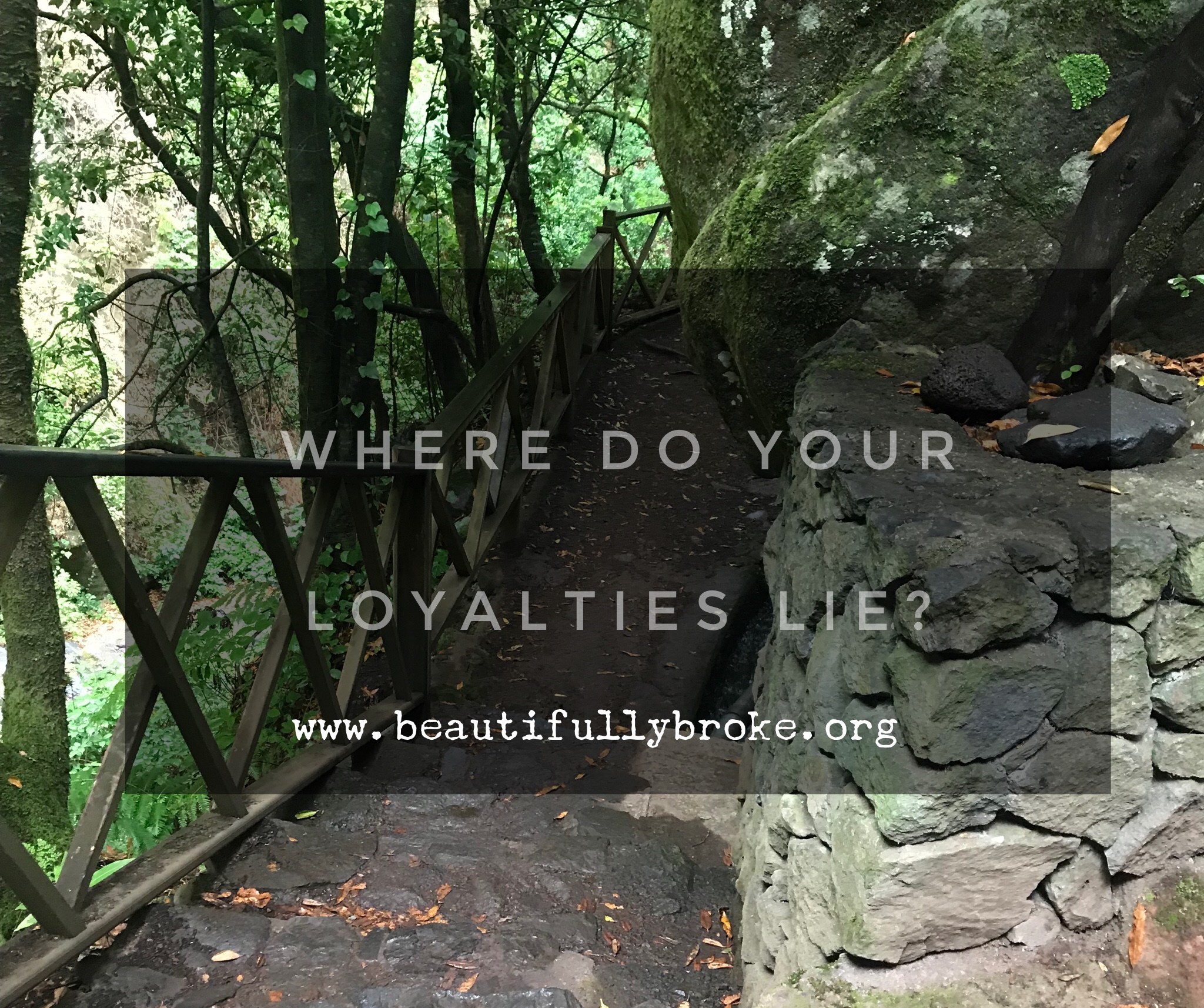 Where Do Your Loyalties Lie? - Beautifully Broke